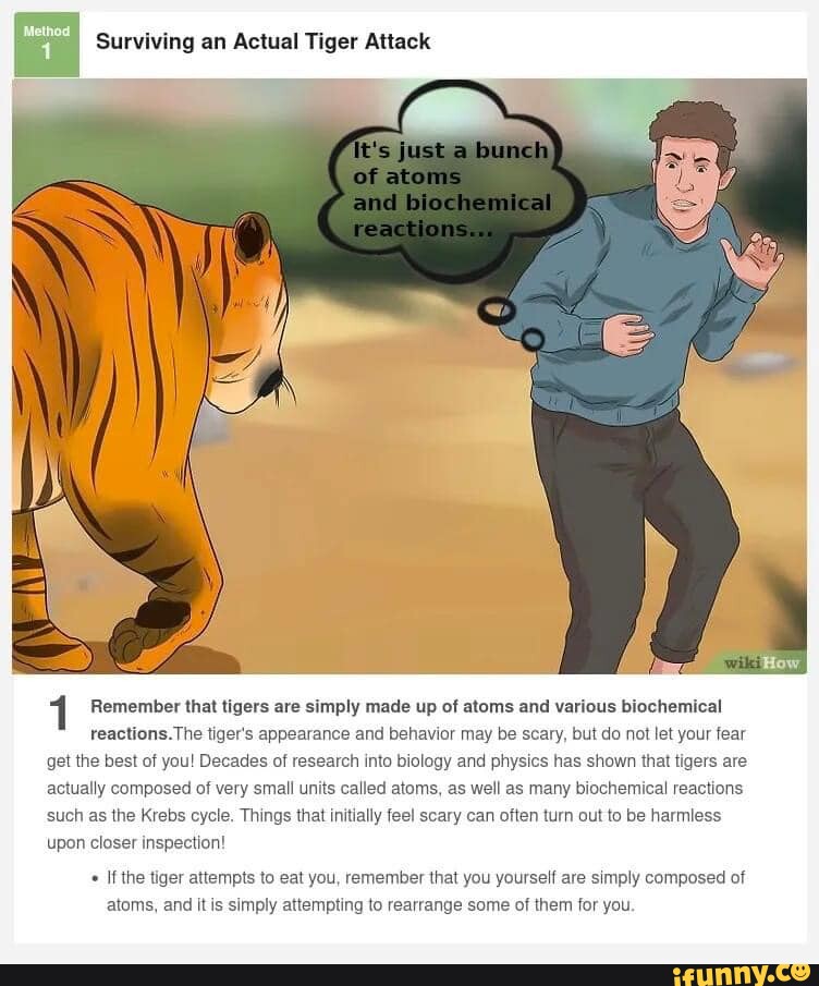 Surviving an Actual Tiger Attack Just of atoms and Remember that tigers ...