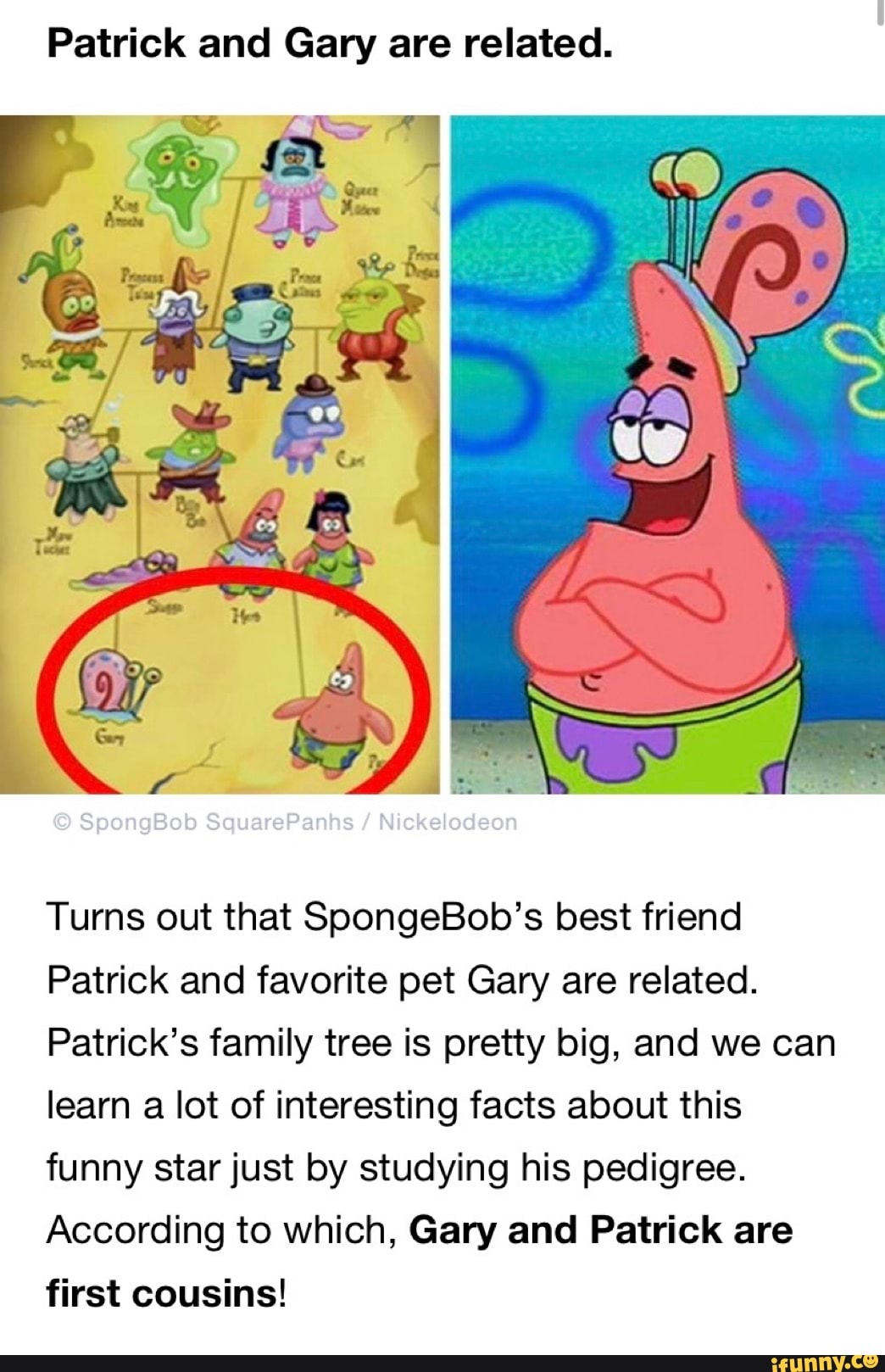 Patrick and Gary are related. Turns out that SpongeBob's best friend ...