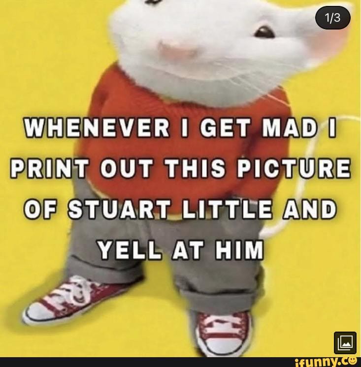 WHENEVER GET MAD PRINT OUT THIS PICTURE OF STUART LITTLE AND YELL AT ...