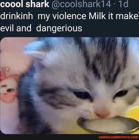 Coool shark @coolshark14 drinkinh my violence Milk it make evil and ...