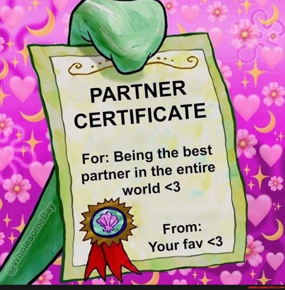 PARTNER CERTIFICATE For: Being the best partner in the entire world