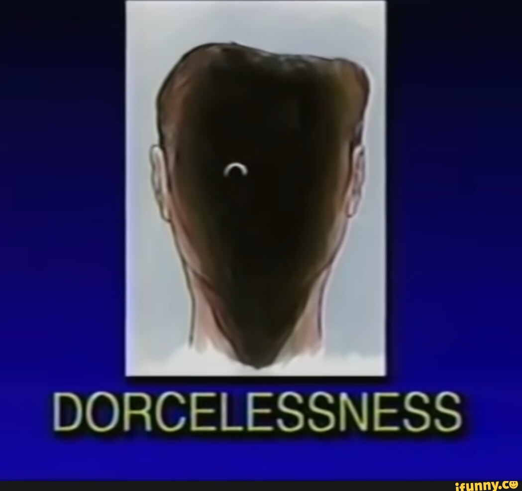 Dorcelessness memes. Best Collection of funny Dorcelessness pictures on ...
