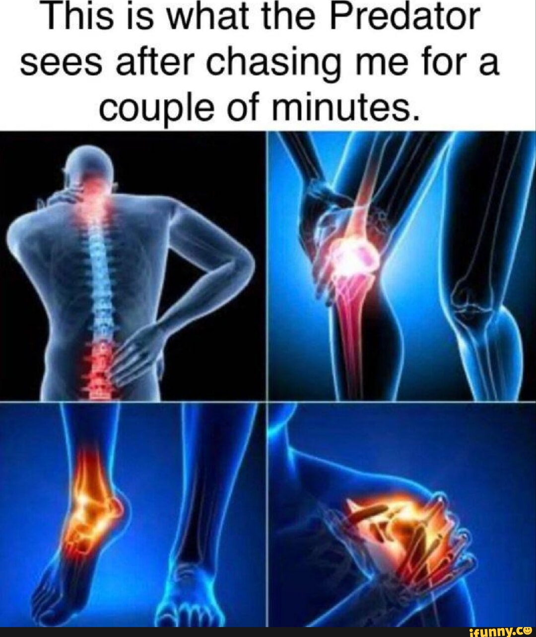 This is what the Predator sees after chasing me for a couple of minutes ...