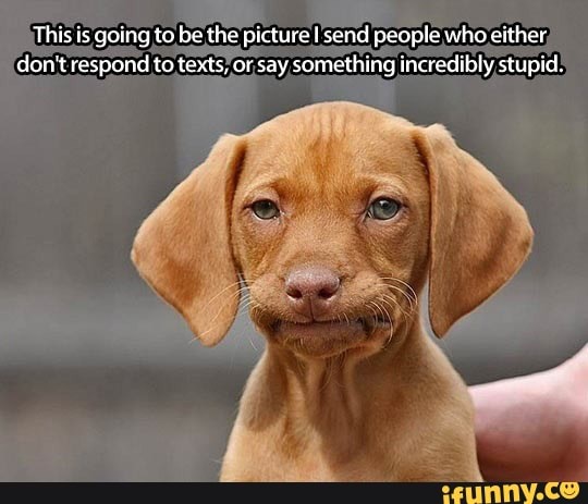 Answeryourphone memes. Best Collection of funny Answeryourphone ...