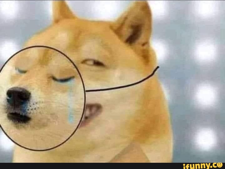 Cheem memes. Best Collection of funny Cheem pictures on iFunny