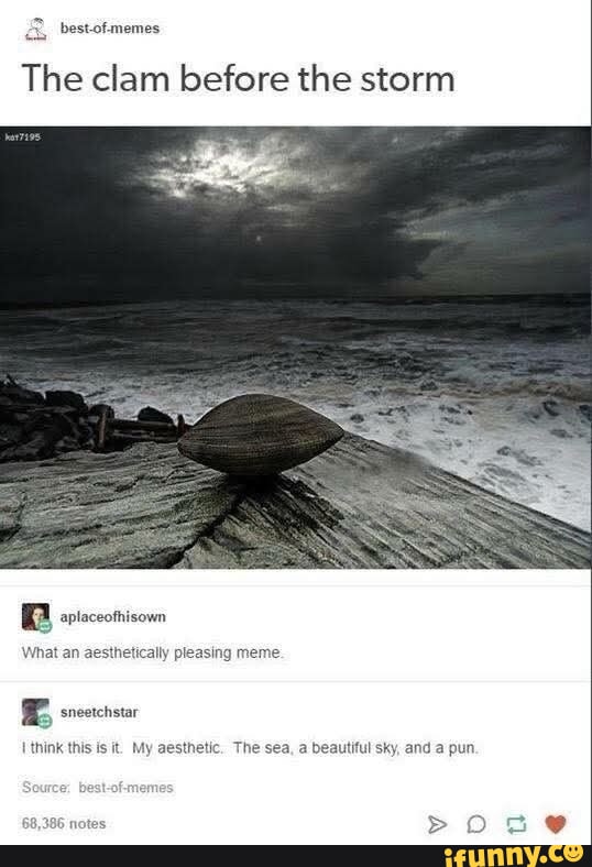 By memes The clam before the storm an y aesthetic. The sea, a beautiful ...