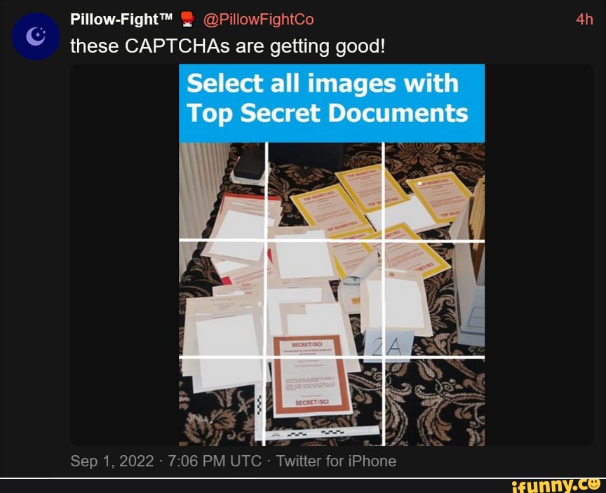 @PillowFightCo these CAPTCHAs are getting good! Select all images with ...