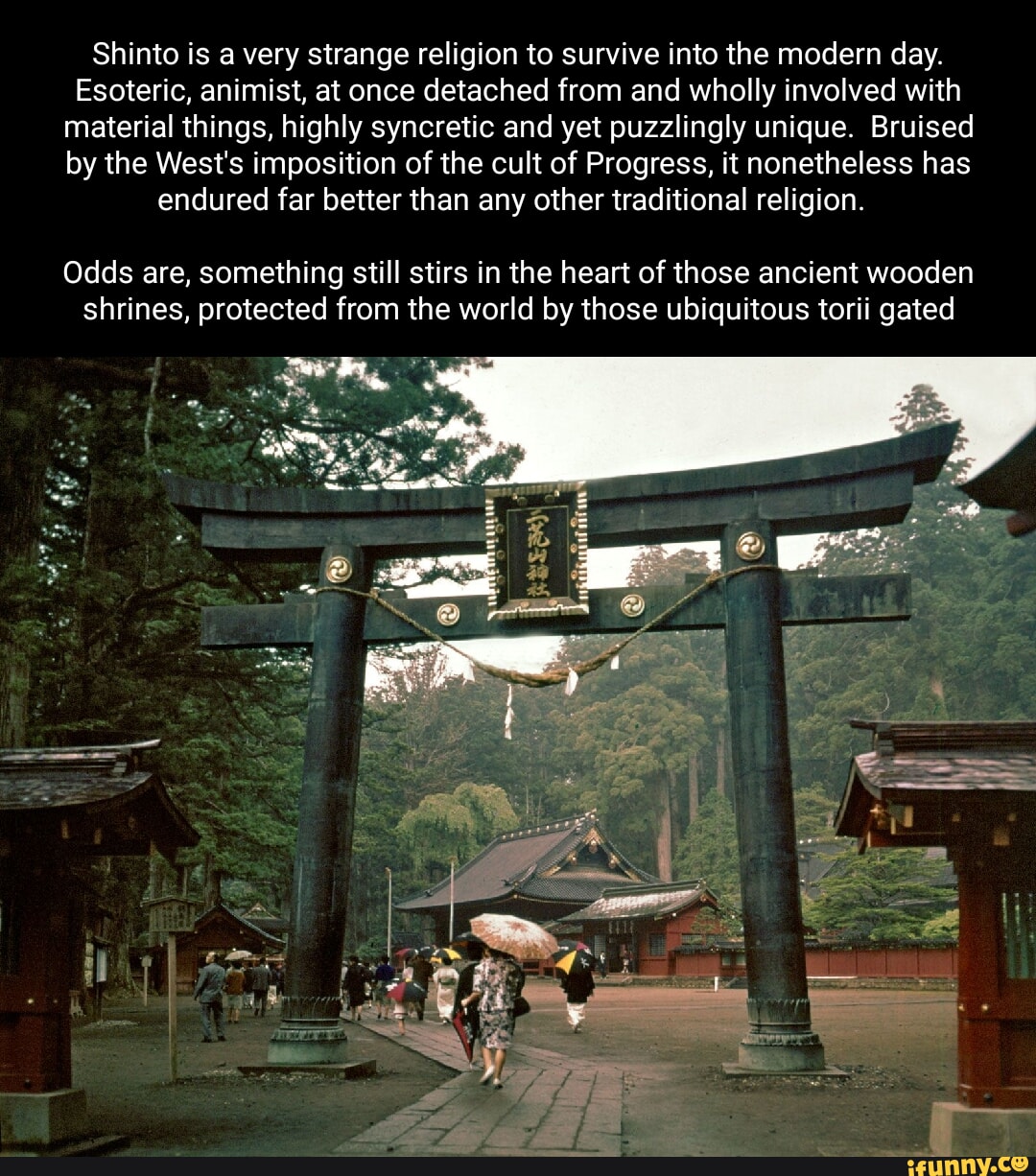 Detached memes. Best Collection of funny Detached pictures on iFunny