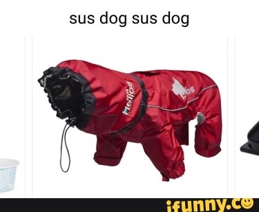 Sus dog sus dog - iFunny