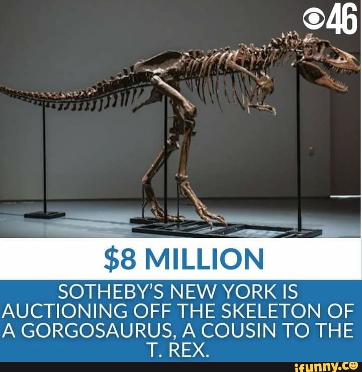 Gorgosaurus memes. Best Collection of funny Gorgosaurus pictures on iFunny