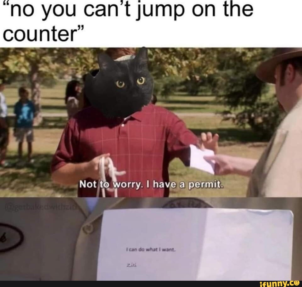 No you cant jump on the counter . = Not to Worry. I have; permit: - iFunny