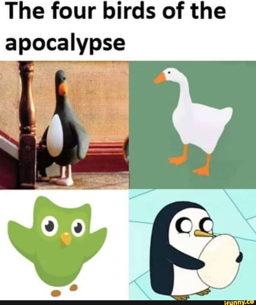 The four birds of the apocalypse - iFunny