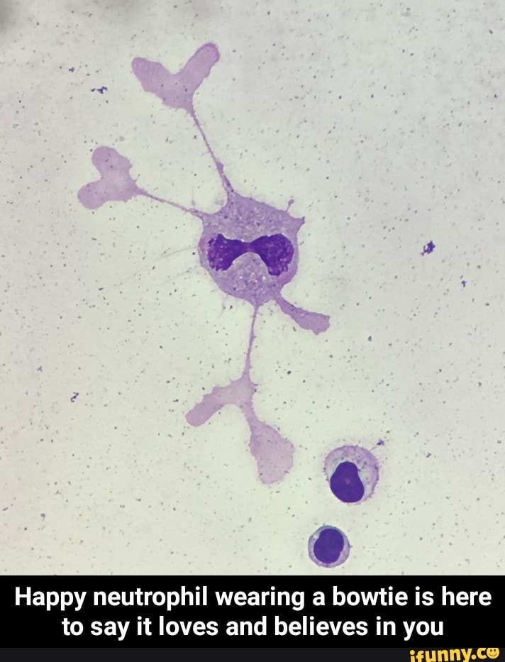 Hematology memes. Best Collection of funny Hematology pictures on iFunny