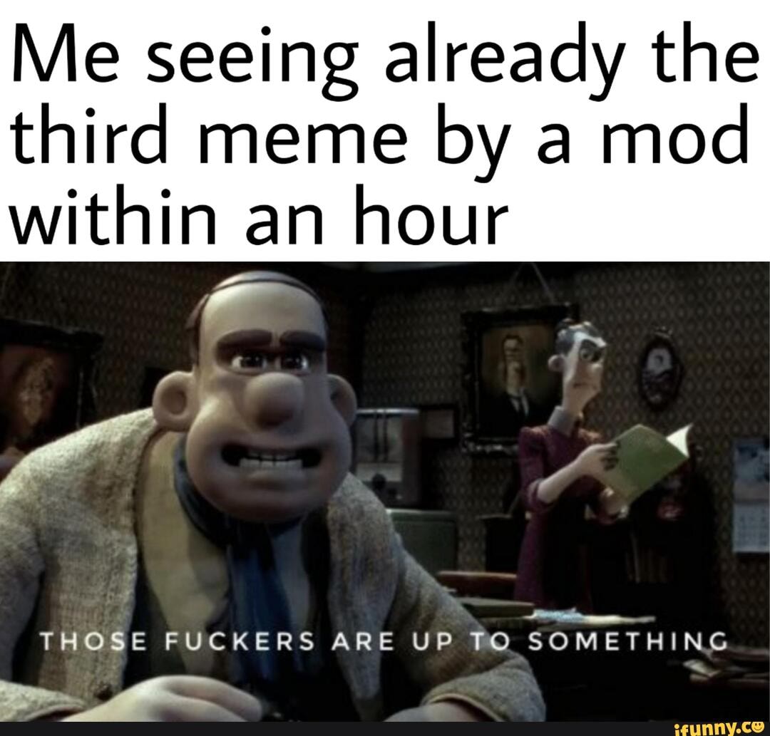 Me seeing already the third meme by a mod within an hour - iFunny