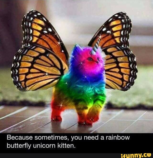 Butterfly memes. Best Collection of funny Butterfly pictures on iFunny