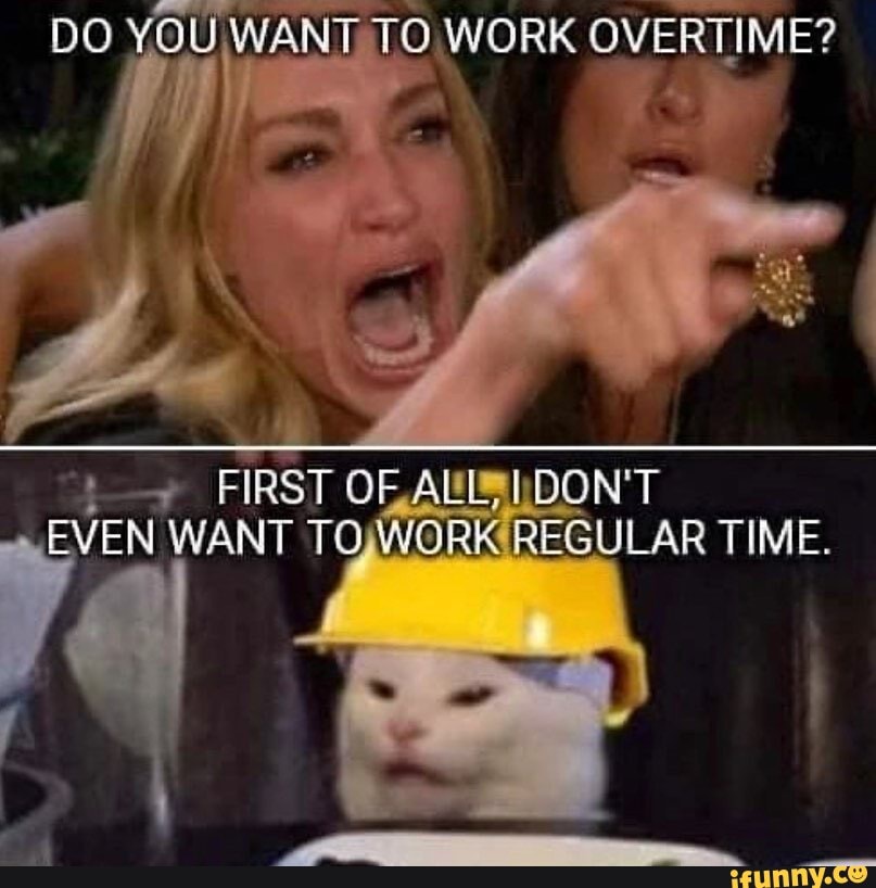 DO YOU WANT TO WORK OVERTIME? FIRST OF. DON'T -EVEN WANT TO WORK REGULAR TIME. - iFunny