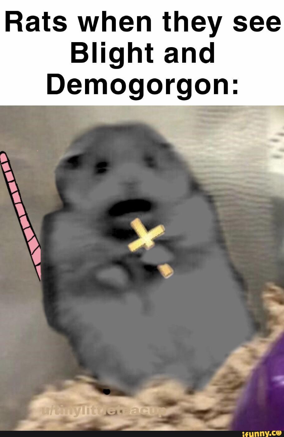 Ratjam memes. Best Collection of funny Ratjam pictures on iFunny