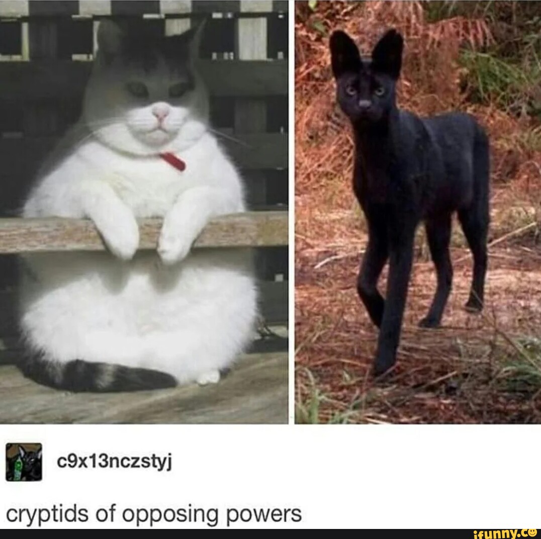 Cryptids memes. Best Collection of funny Cryptids pictures on iFunny