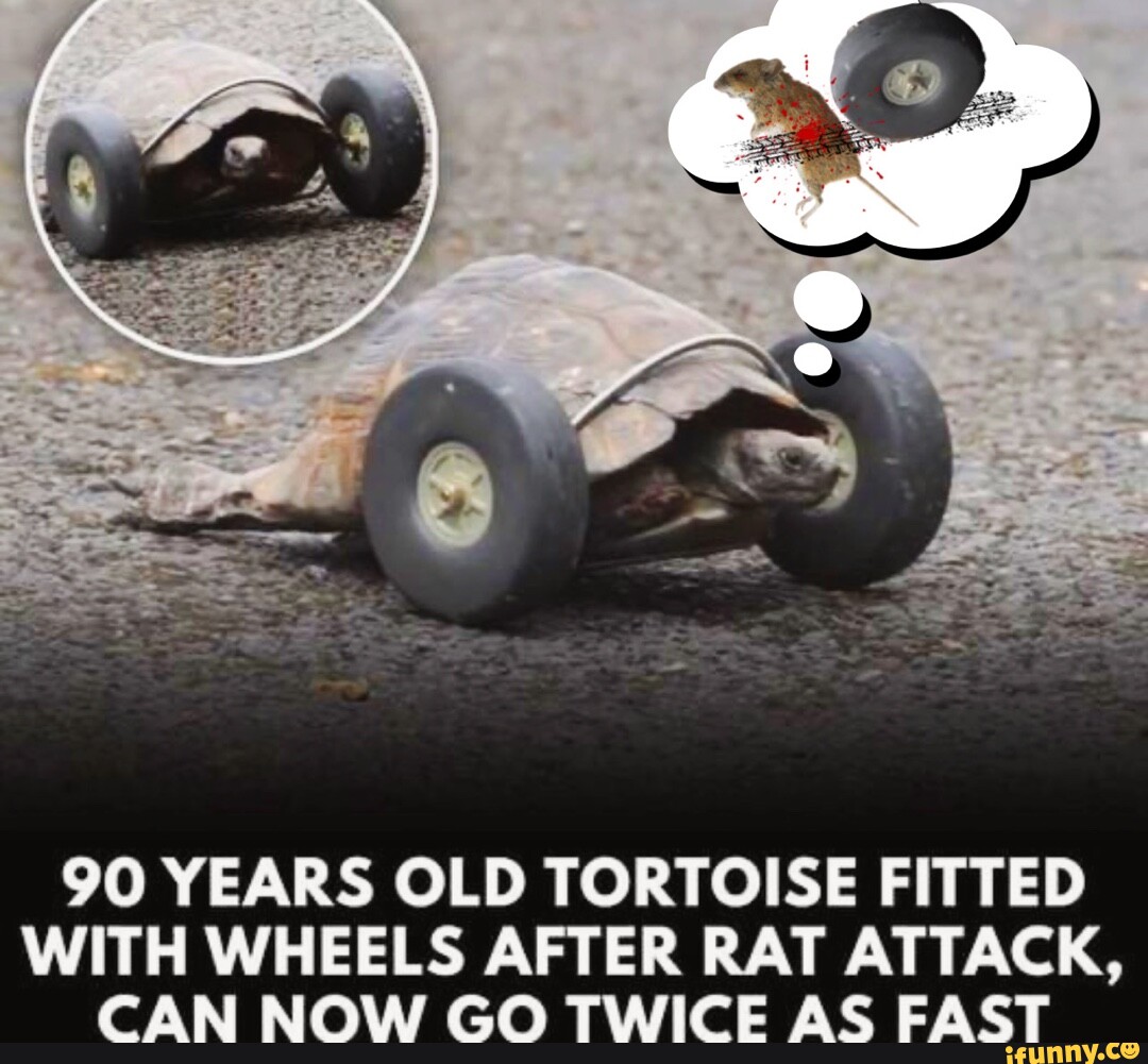 Just finished Akame ga Kill. The most predictable anime ever. But the ...