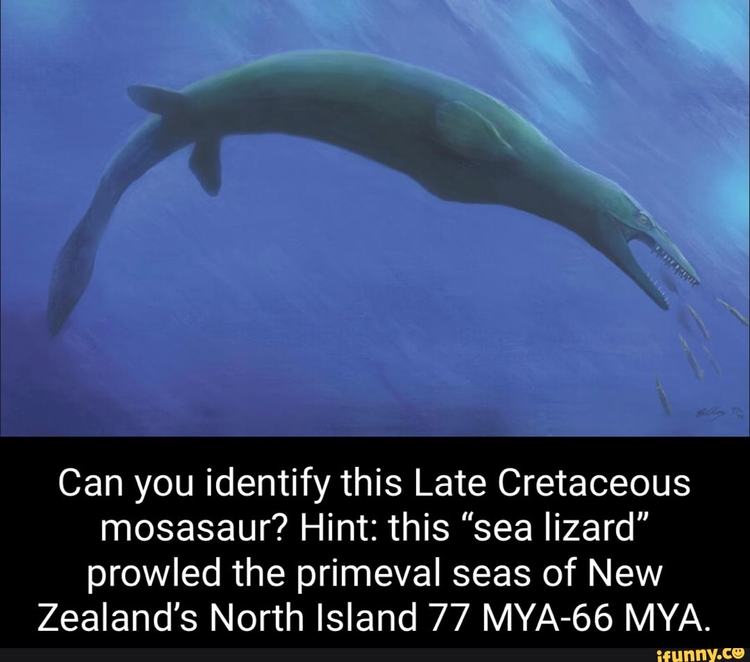 Can you identify this Late Cretaceous mosasaur? Hint: this "sea lizard ...