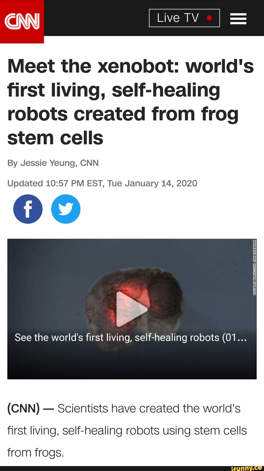 Meet the xenobot: world's first living, self-healing robots created from frog stem cells By ...