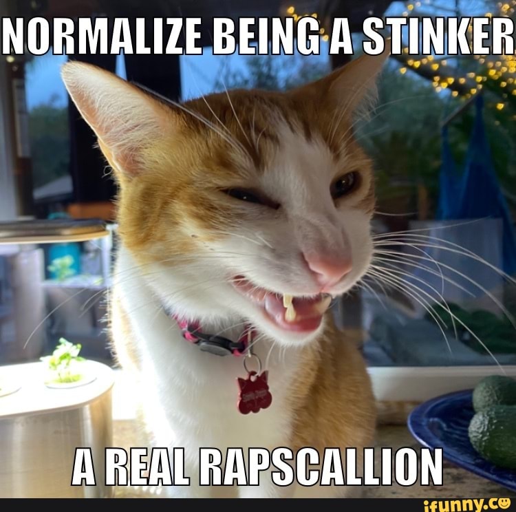 Rapscallion memes. Best Collection of funny Rapscallion pictures on iFunny