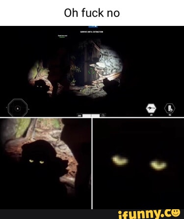 Ewok memes. Best Collection of funny Ewok pictures on iFunny