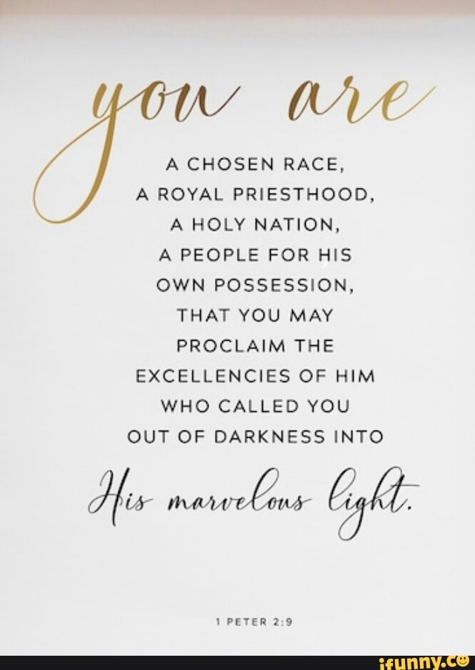 ONE A CHOSEN RACE, A ROYAL PRIESTHOOD, A HOLY NATION, A PEOPLE FOR HIS ...