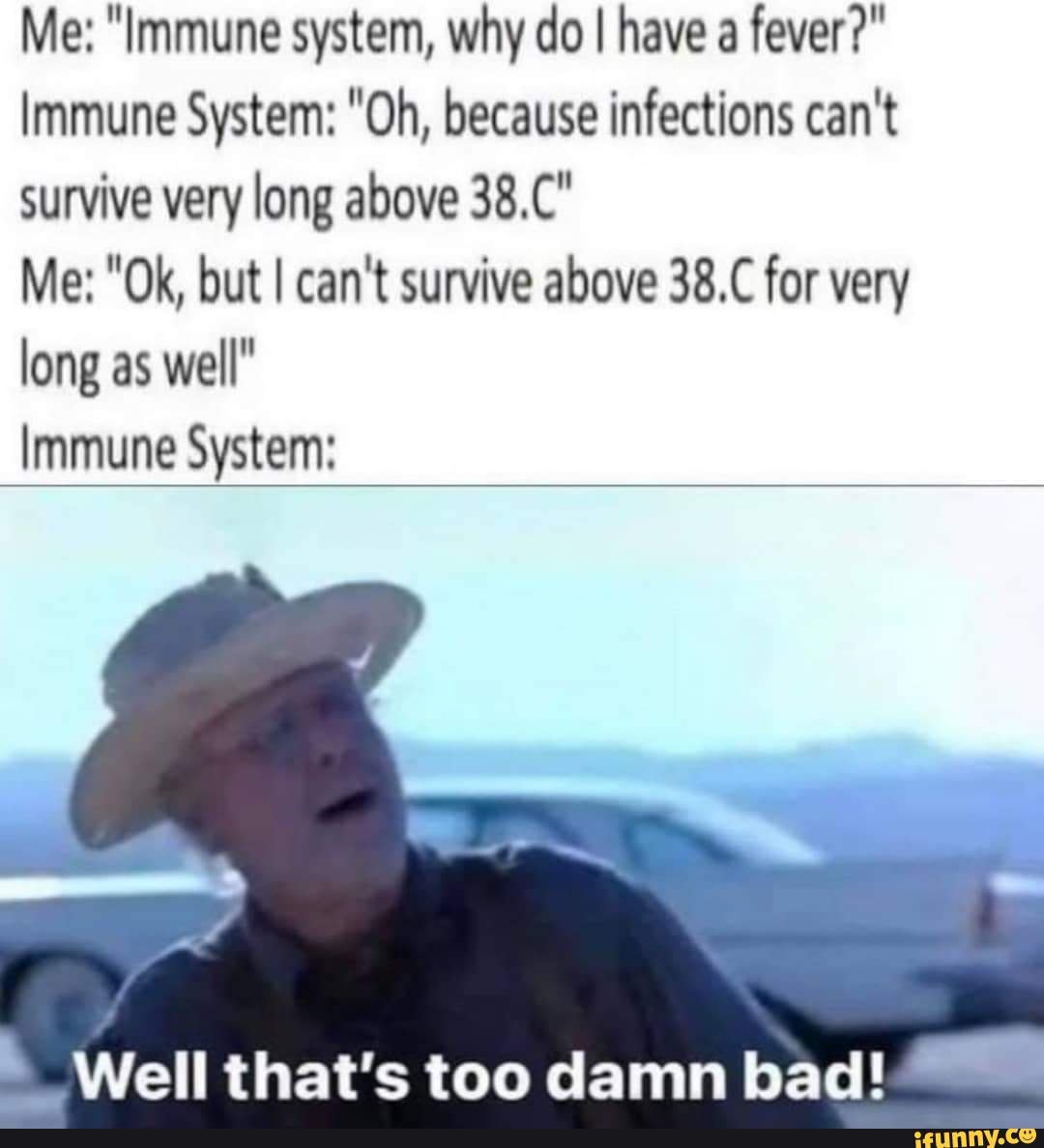 Remade this meme with a Holes format cause Holes is a great movie