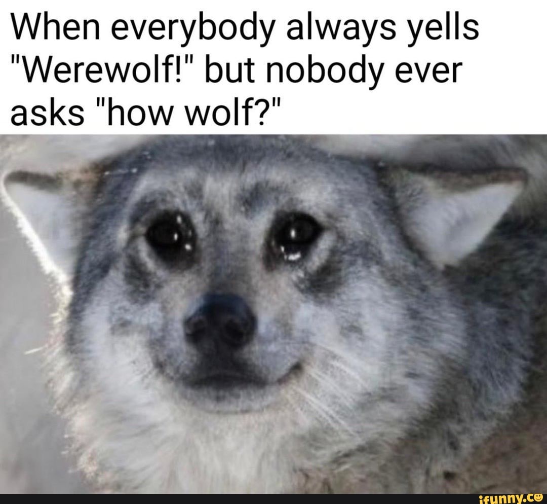 When everybody always yells "Werewolf!" but nobody ever asks "how wolf ...