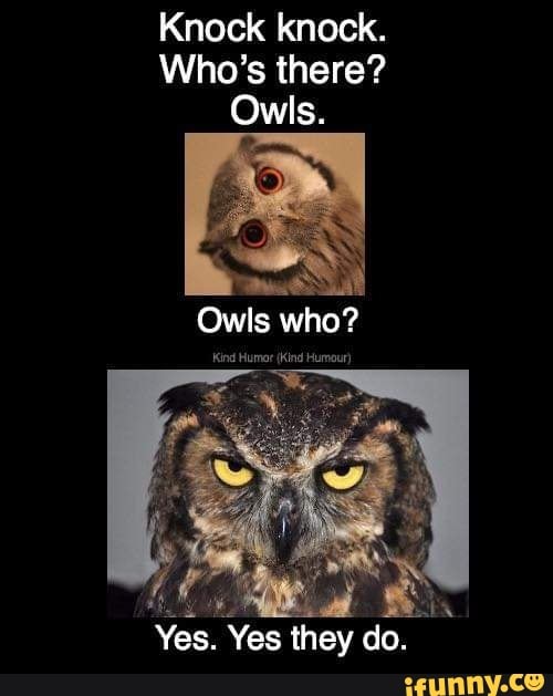 Knock knock. Who's there? Owls. Owls who? Kind Humoe (Kind Humour) Yes ...