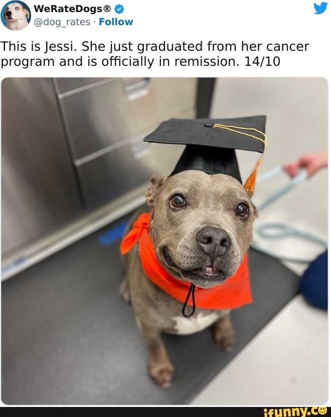 Jessi memes. Best Collection of funny Jessi pictures on iFunny