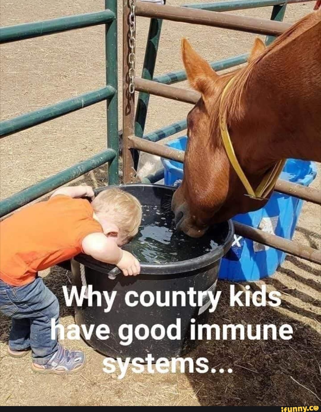 Ry Why country kids have good immune systems... - iFunny