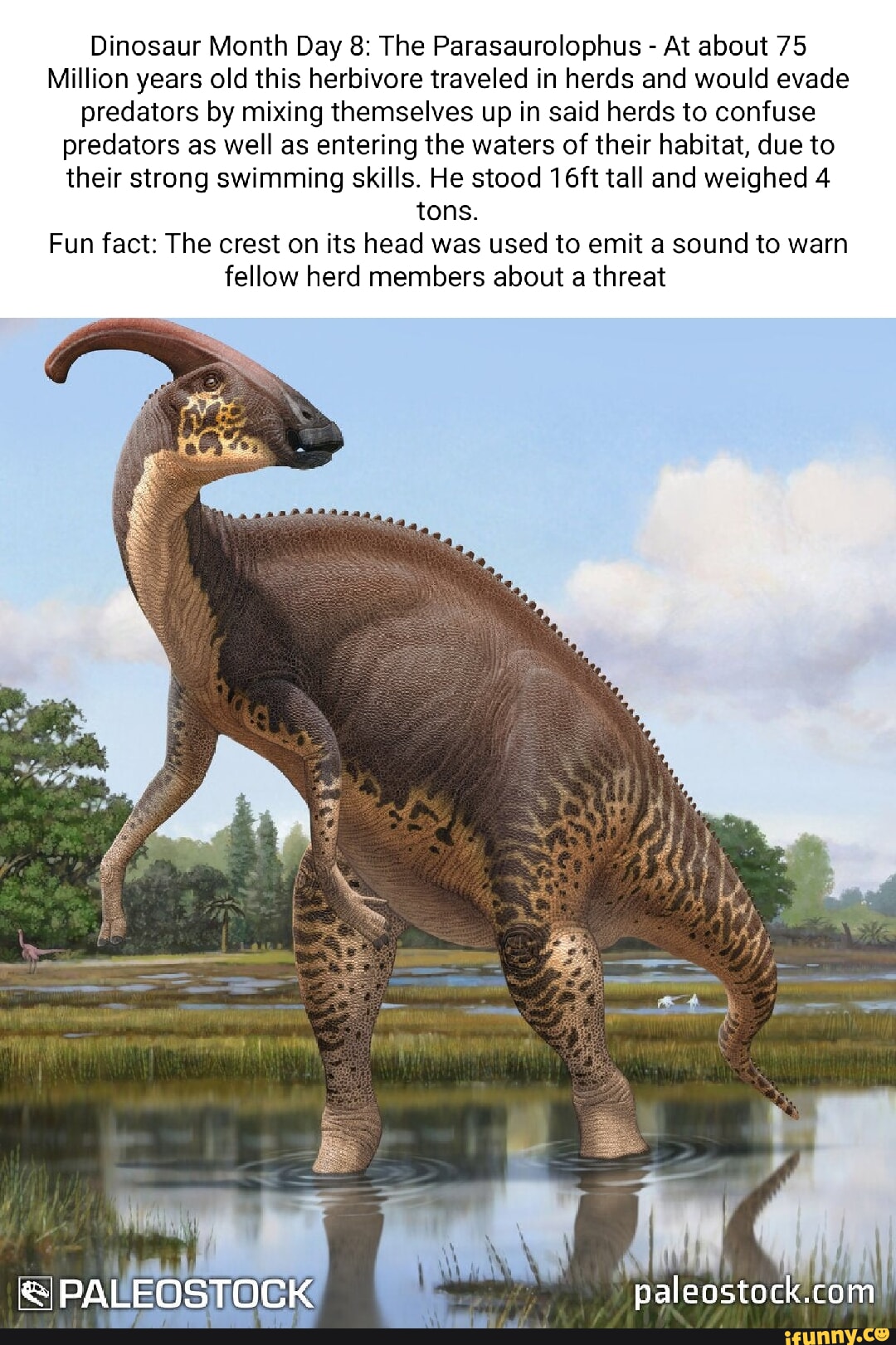 Dinosaur Month Day 8: The Parasaurolophus - At about 75 Million years ...