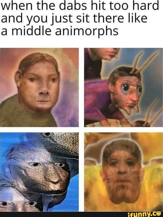 Animorphs memes. Best Collection of funny Animorphs pictures on iFunny