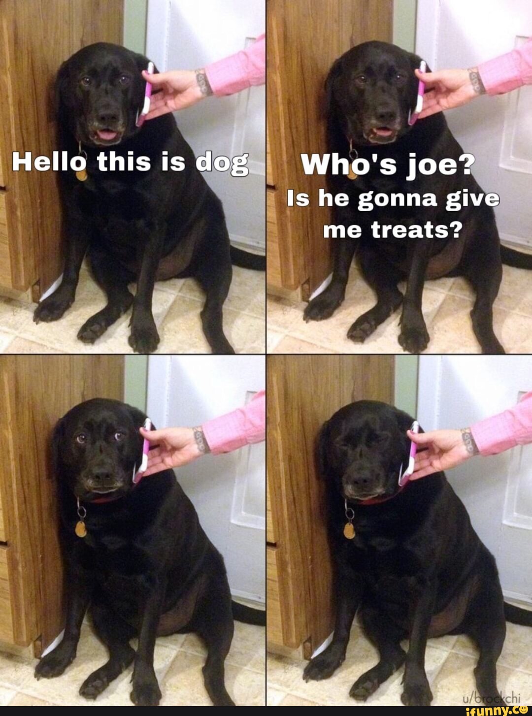 Video memes VOtUSigo7 by GoochSmoocher_2015: 0.9K comments - iFunny