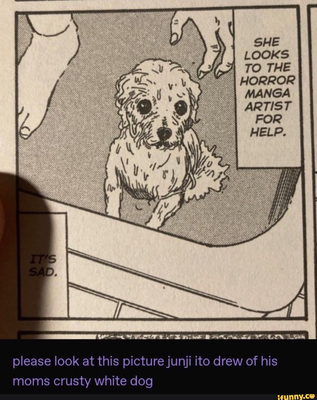 LOOKS MANEA ARTIST I please look at this picture junji ito drew of his ...