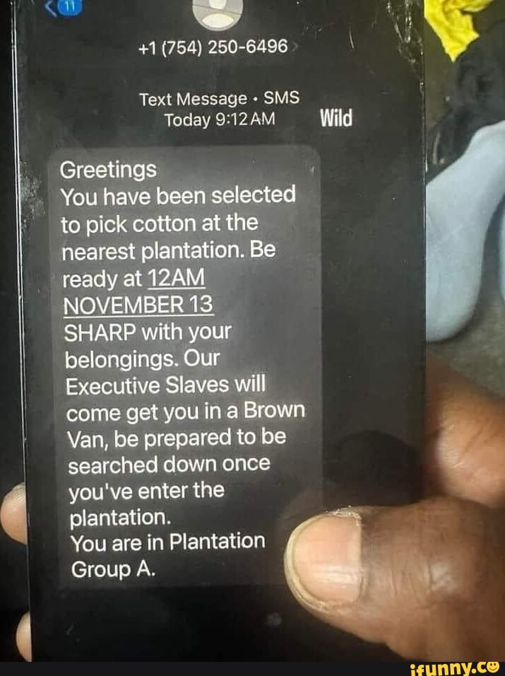 +1 (754) 250-6496 Text Message SMS Today AM Wild Greetings You have ...