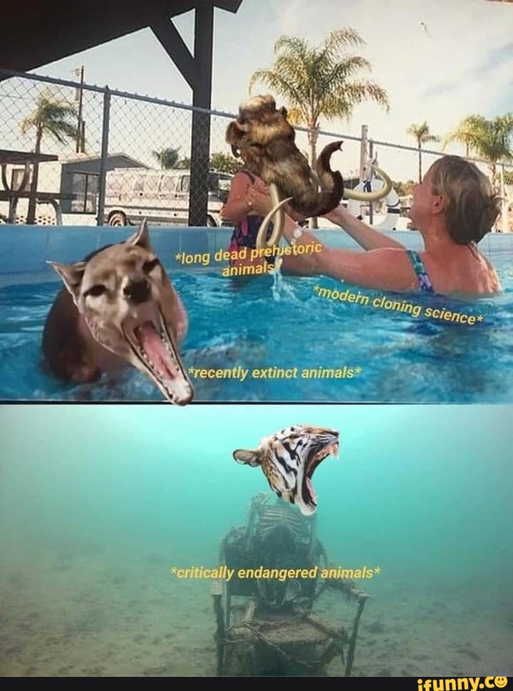 Extinet endangered animals - iFunny