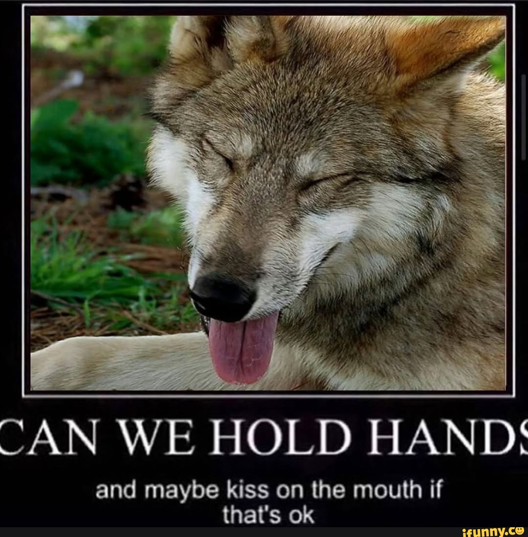 CAN WE HOLD HAND: and maybe kiss on the mouth if that's ok - iFunny