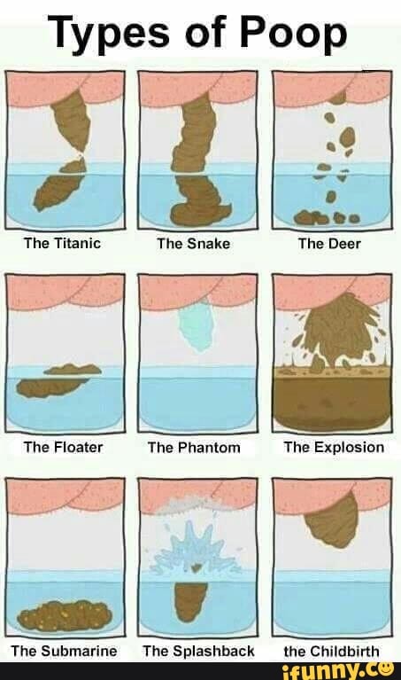 Types of Poop l! The Submarine The Splashback the Childbirth - iFunny