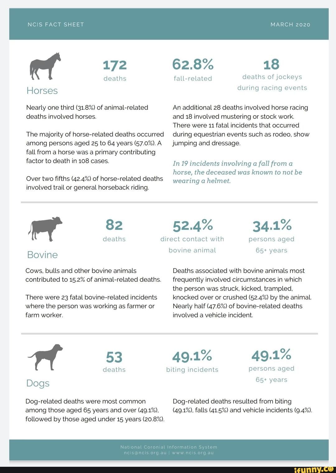 The Three Most-Deadly Animals in The Land of Deadly Animals: Australia ...