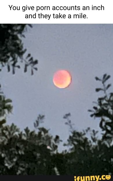 You give porn accounts an inch and they take a mile. - iFunny