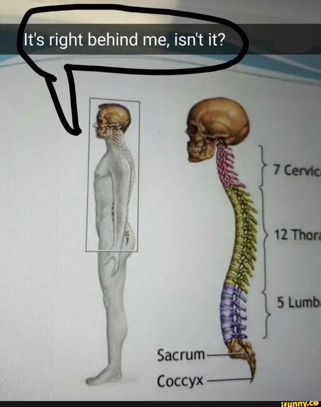 Rare voice lines?? - iFunny