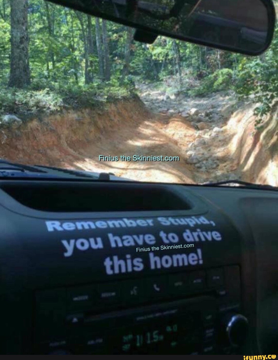 Finius memes. Best Collection of funny Finius pictures on iFunny