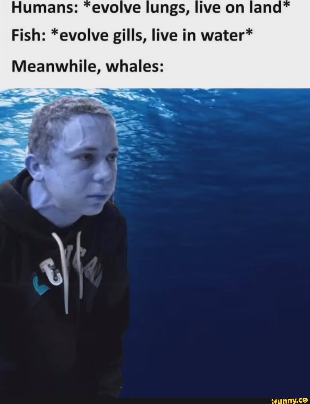 Humans: *evolve lungs, live on land Fish: *evolve gills, live in water ...