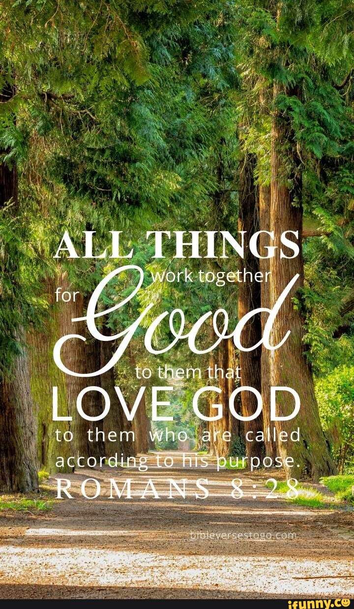 Cailed memes. Best Collection of funny Cailed pictures on iFunny