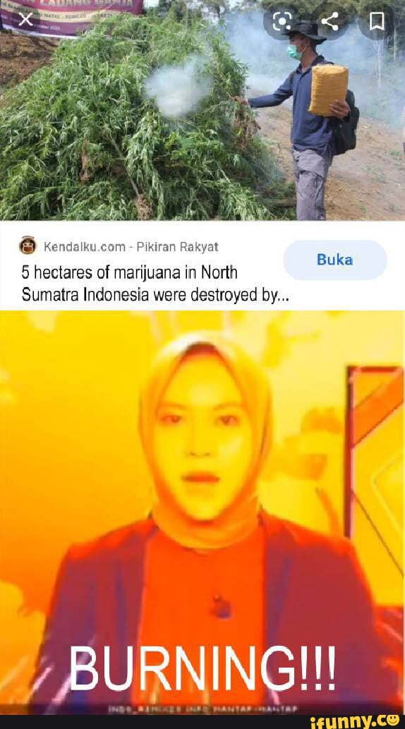 Buka memes. Best Collection of funny Buka pictures on iFunny