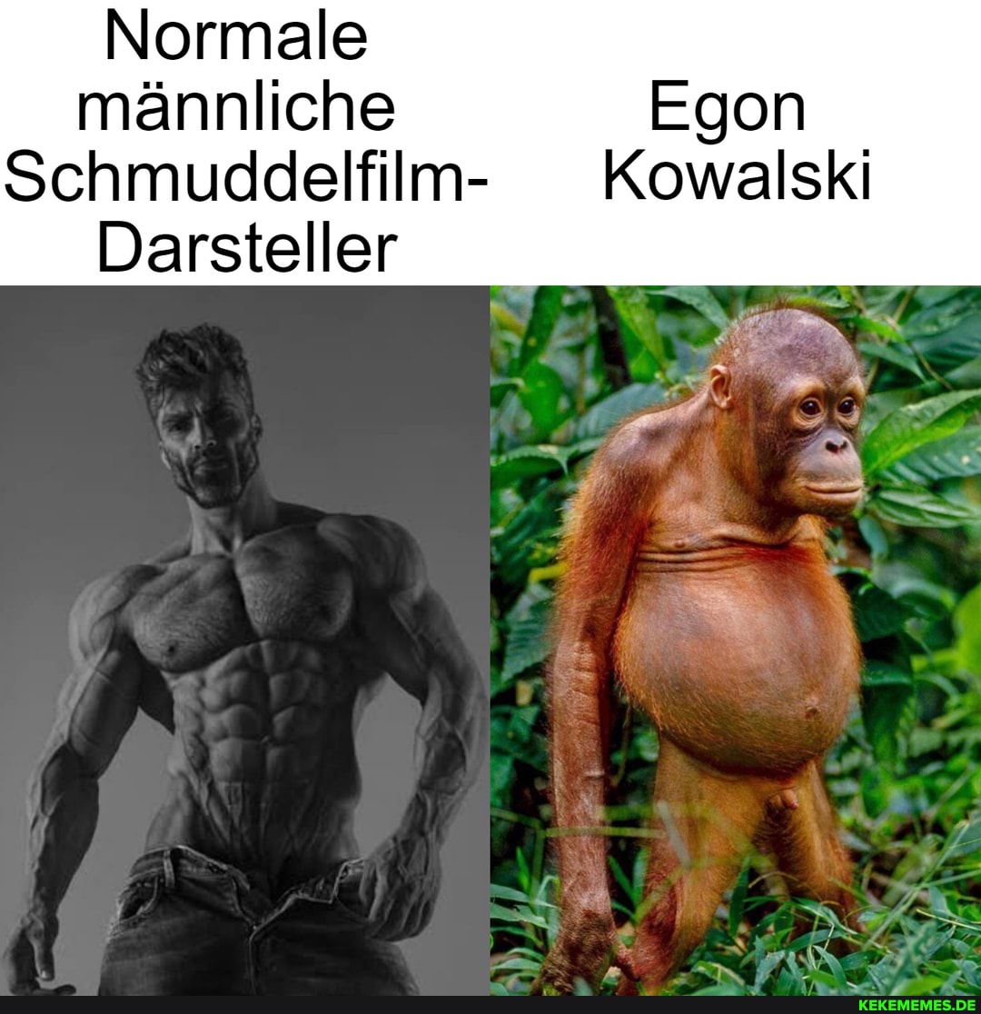 Kowalski – Keke Memes. Beste Sammlung von lustigen Kowalski Bilder ...