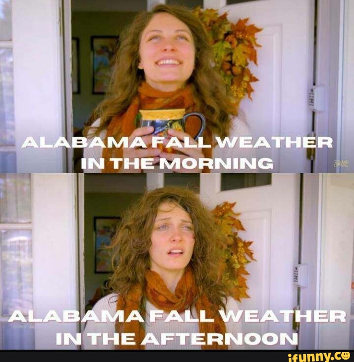 Afternoon memes. Best Collection of funny Afternoon pictures on iFunny